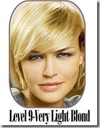 Level System : Helps You Choose Hair Color Formula | Killerstrands Hair ...